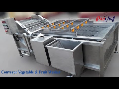 Vegetable Washer - Vegetable Washer and Dryer Latest Price ...