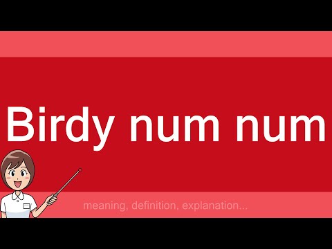 Birdy num num