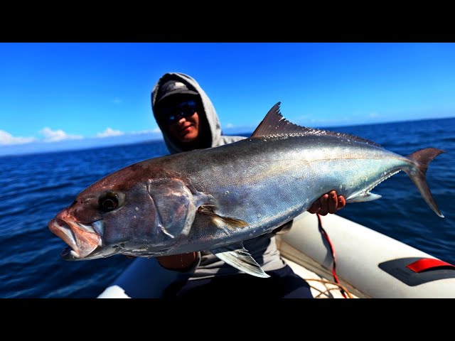 Strijelka (ne)uhvatljiva riba - Praktični Ribolov