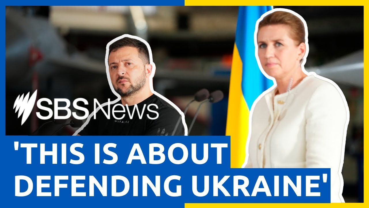 Denmark and the Netherlands donate F-16 fighter jets to Ukraine | SBS News