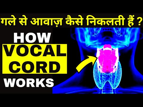 Vocal Cords In Action | Voice Box In Human Body | Vocal Cord Anatomy | How Vocal Cords Work