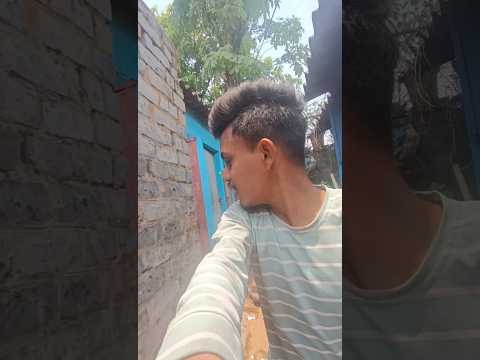 Ho Mini  blog ##hovideo2024 #blogger #karan #shorts