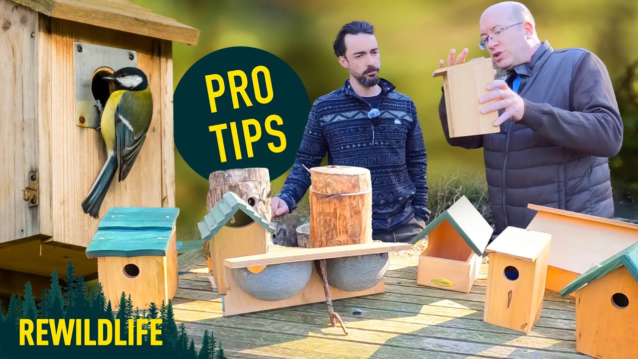 Expert insights: Choosing the perfect nest box