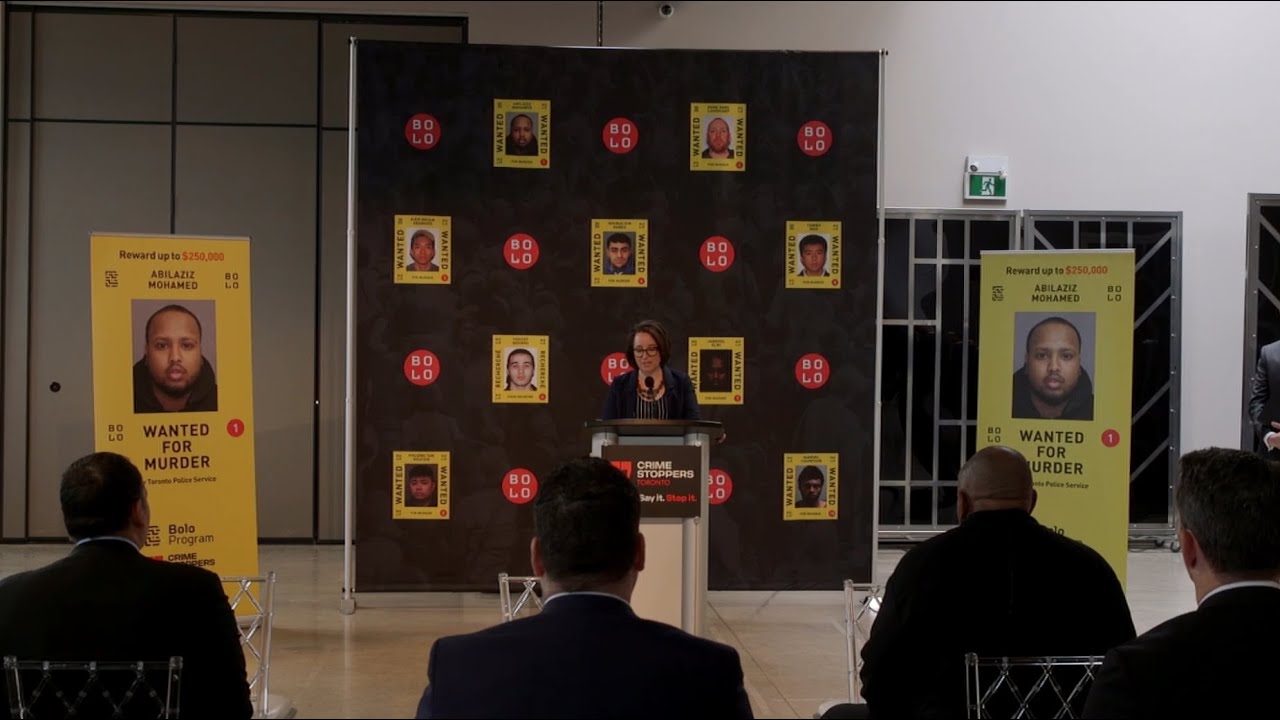 Programme Bolo - Nouvelles