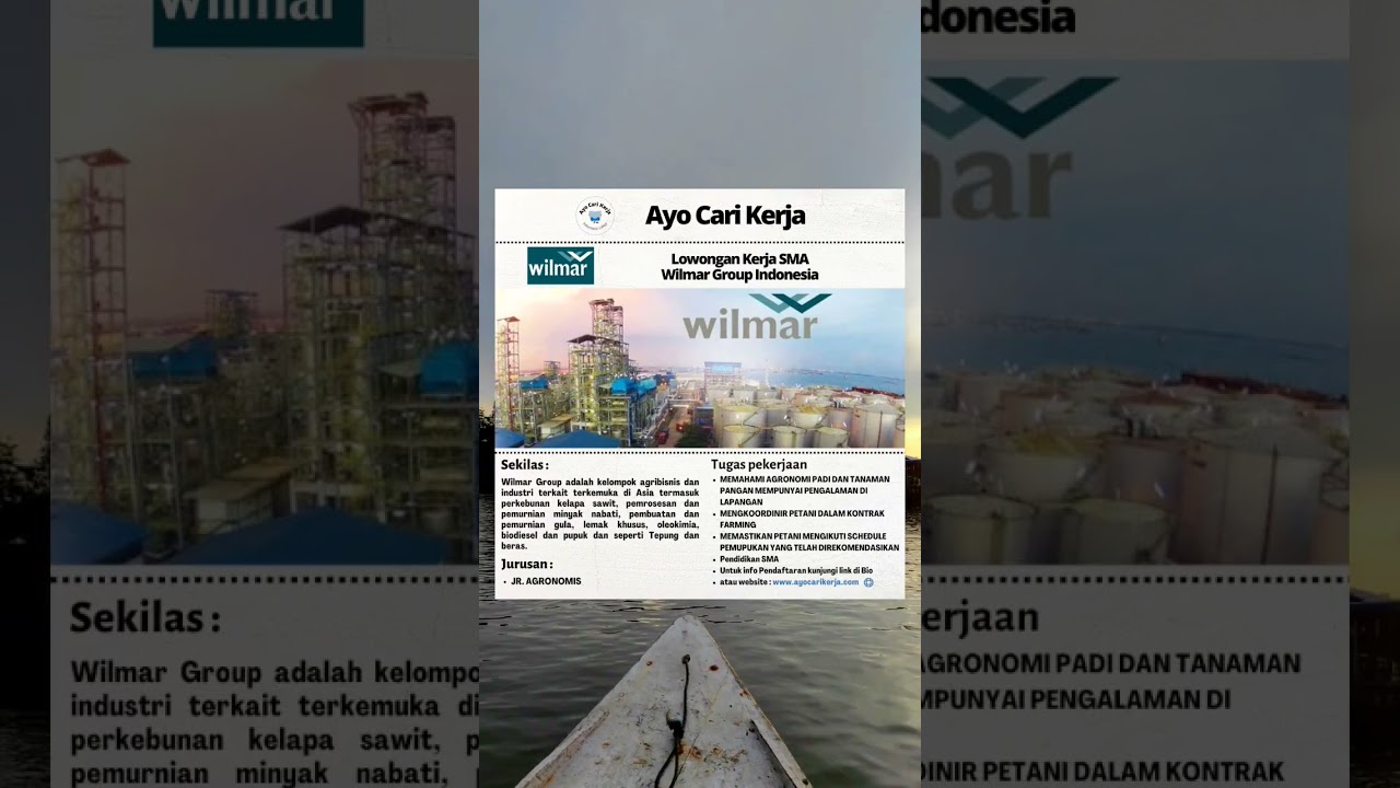 Lowongan Kerja Wilmar Group Indonesia #shorts #ayocarikerja
