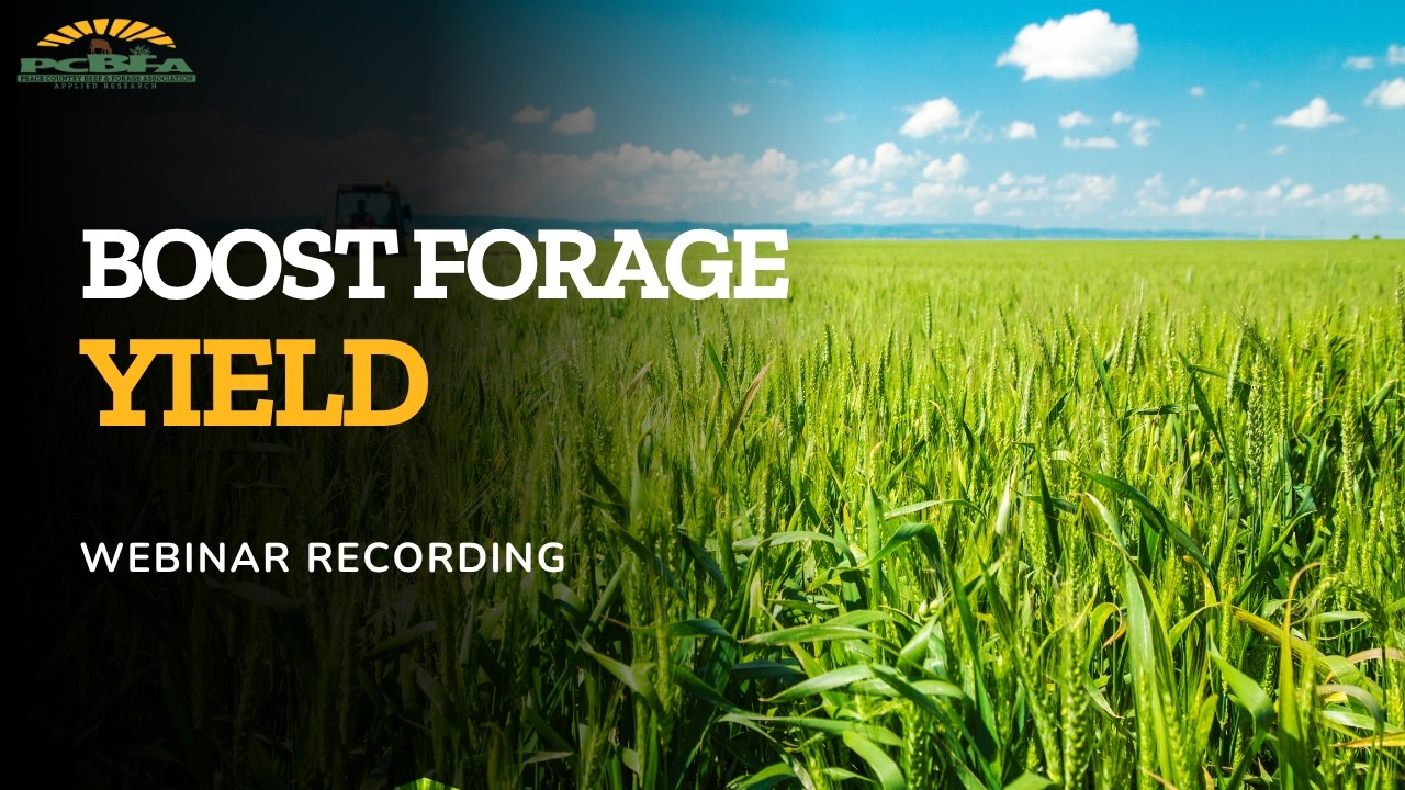 Double Your Harvest: Perennial Cereal–Legume Intercropping in Alberta | PCBFA Webinar