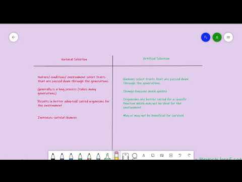 Natural Selection vs Artificial Selection with examples in 5 minutes or less!