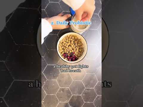 4 Healthy Kibble Toppers