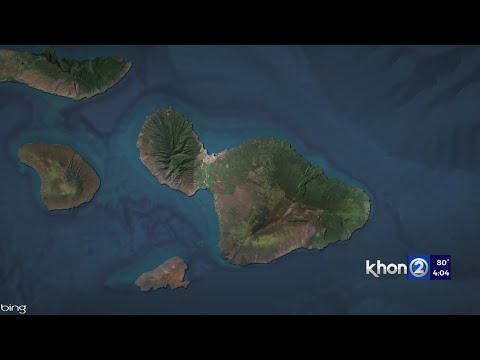 Fu Lin Chinese Restaurant gets red placard in Lahaina
