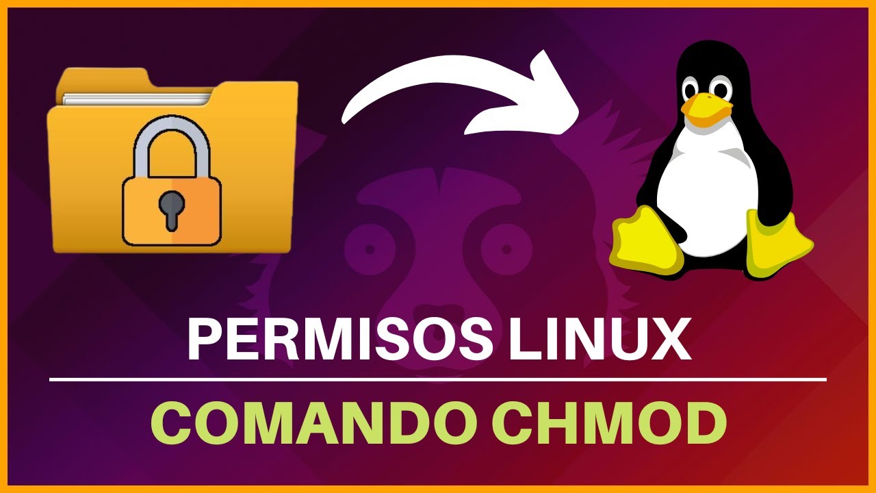 🔴 Cómo Usar el Comando CHMOD en LINUX | Gestionar Permisos Linux #1🐧