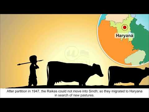 Ch 5 - Pastoralists in the Modern World