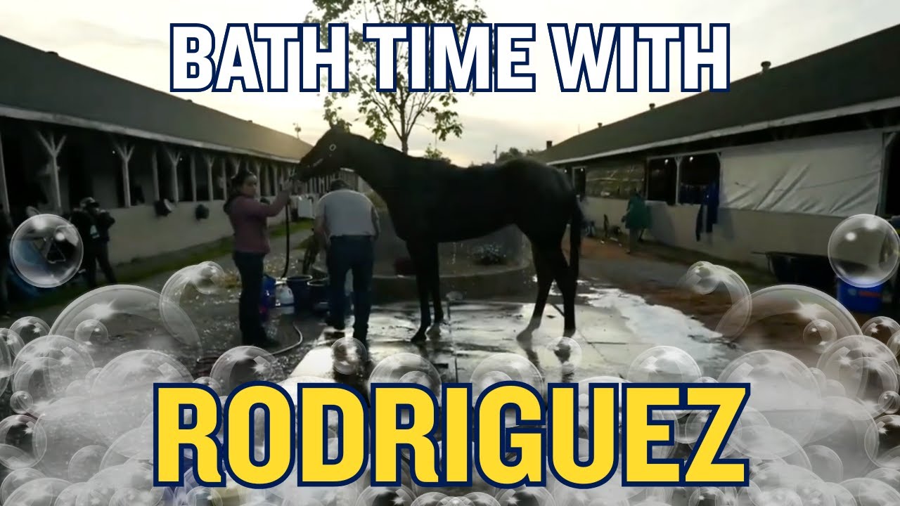 Bath time with RODRIGUEZ