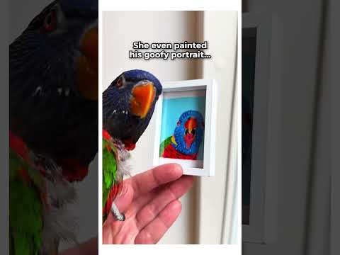 This girl saved a bird that couldn't fly... #animals #birds
