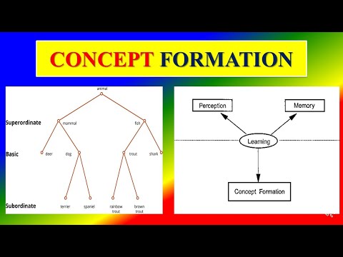 Concept Formation Video Lecture - UGC NET