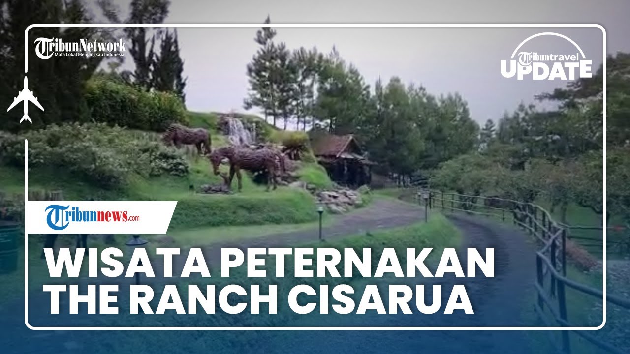 Mengenal The Ranch Cisarua, Wisata yang Usung Konsep Peternakan di ...