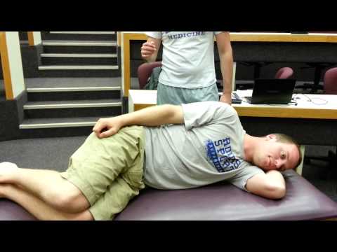 Body Positions and Anatomical Orientations