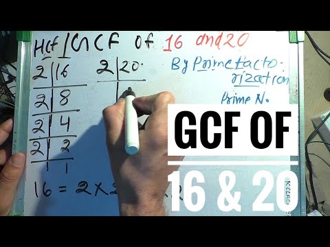 gcf of 16 and 20 In Hindi | Surendra Khilery | Lcm And Hcf | Prime Factorisation Method