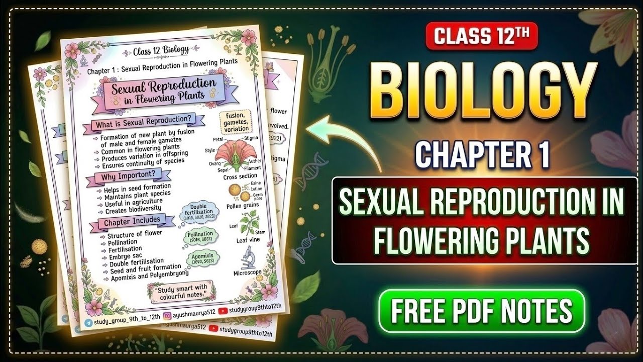 Class 12 Biology Chapter 1 Notes | Sexual Reproduction in Flowering Plants | Free PDF | CBSE Board