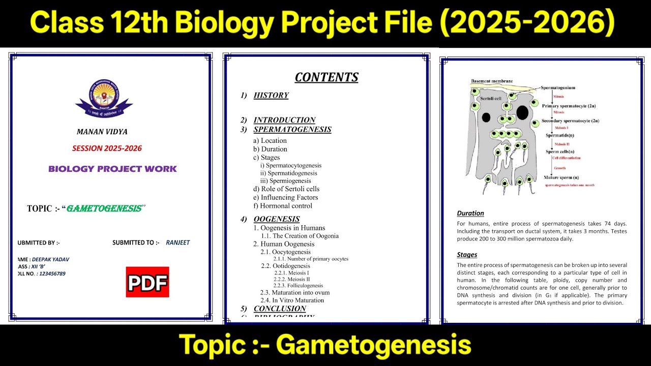 Gametogenesis | Class 12th Biology Project File 2025-26 with PDF | #projectfile 