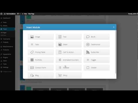 Using The Testimonials Module In Divi