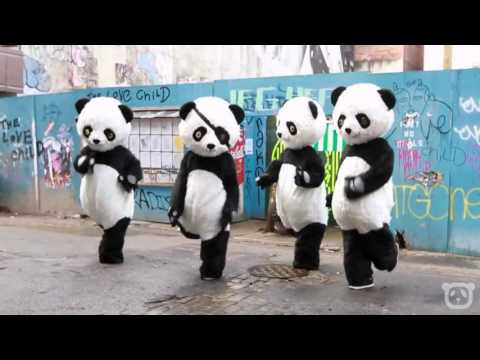 Steam Community :: Video :: Dancing Panda Bears!