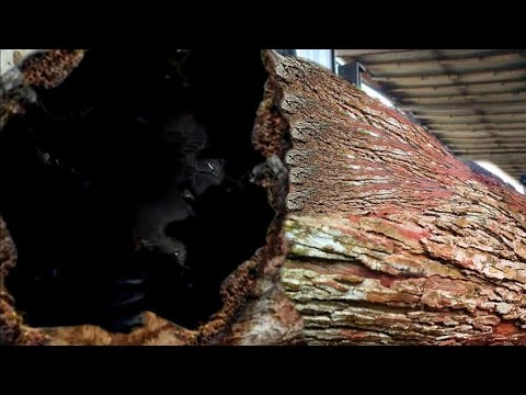 533 seconds before deadly tension of the poison occurs at Sawmill