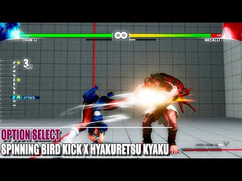 Steam Community :: Video :: SFV: Chun-li's Spinning Bird Kick X ...