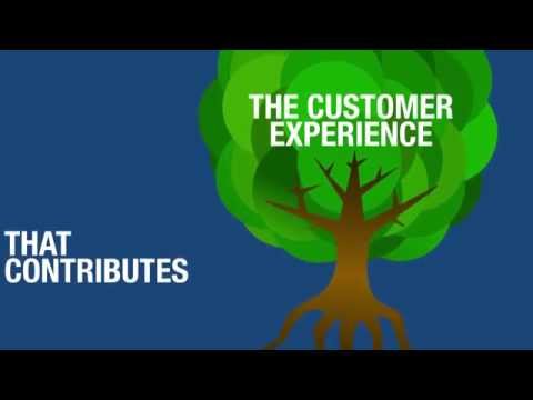 Does Your Business Need To Improve Its CEM?