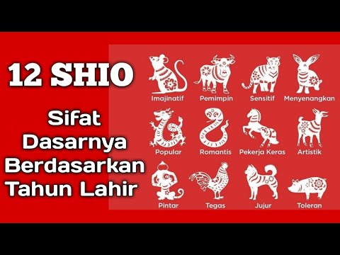 Ini Dia !!! Sifat & Karakter Dari 12 Shio Dalam Astrologi Chinese Zodiac Berdasarkan Tahun Kelahiran