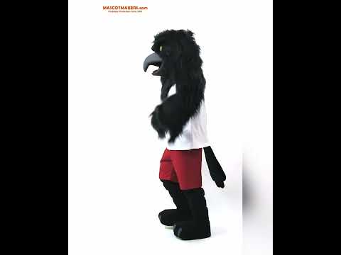 Raven Mascot Costume for Saint Louis Abbey and Priory School | Mascot ...