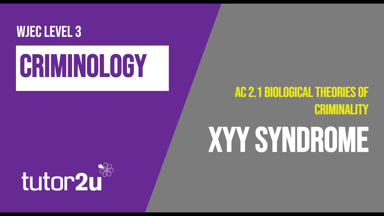 Understanding XYY Syndrome and Its Link to Criminality | Galaxy.ai