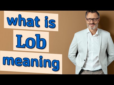 Lob | Definition of lob