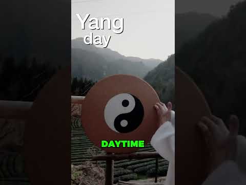 Yin & Yang: Master Gu explains the difference #daoism #taoistphilosophy
