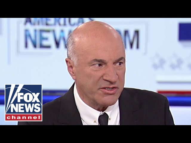 Kevin O'Leary: "Lightning bolt"- Shark Tank's Kevin O'Leary discusses ...