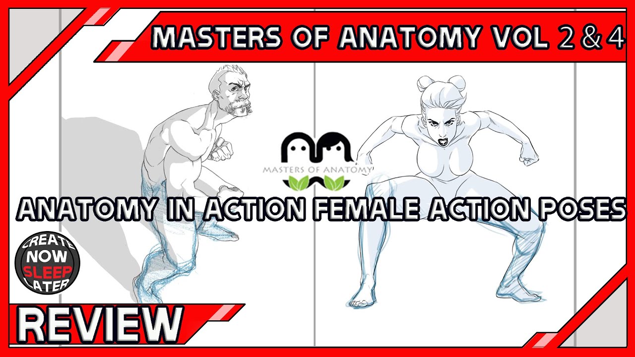 Masters Of Anatomy  Book 2 - Anatomy in Action & Book 4 - Female Action Poses Review