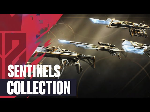 5 great Exclusive Valorant skin collections in Episode 5