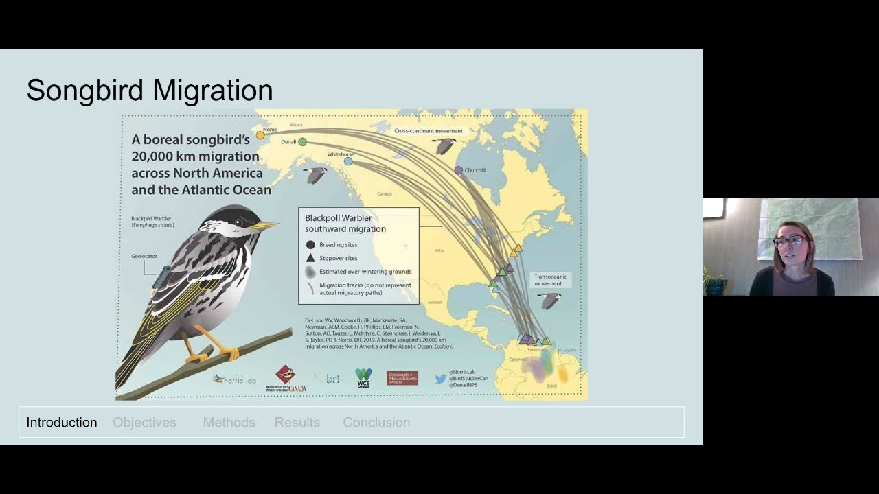 Songbird Migration Virtual Program