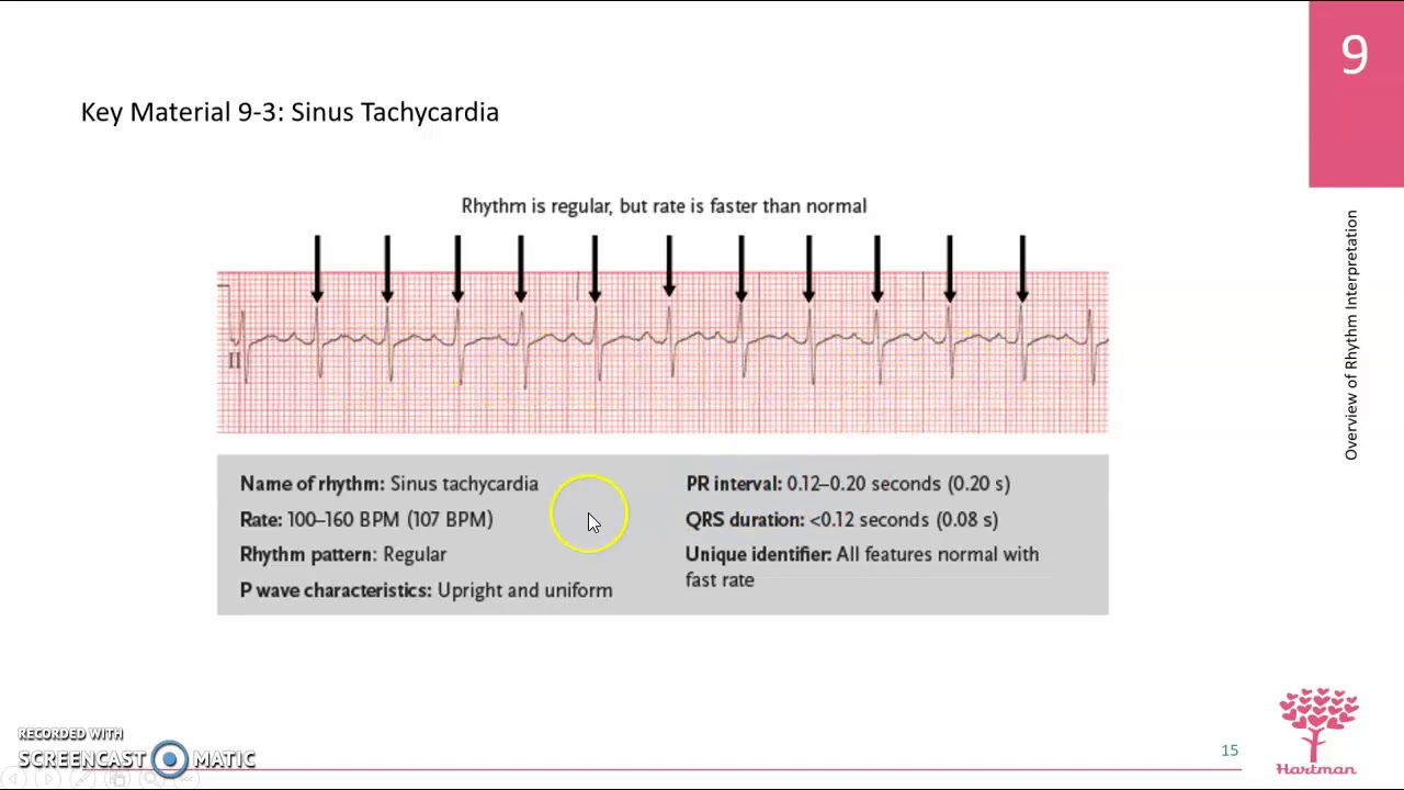 Chapter 9 PowerPoint-Part 1