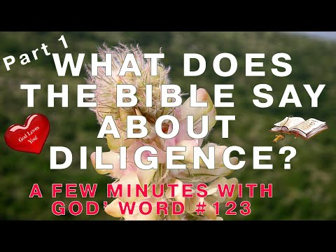 Bible Verses About Diligence. Part 1 | Christian Meditations with God's Word #123