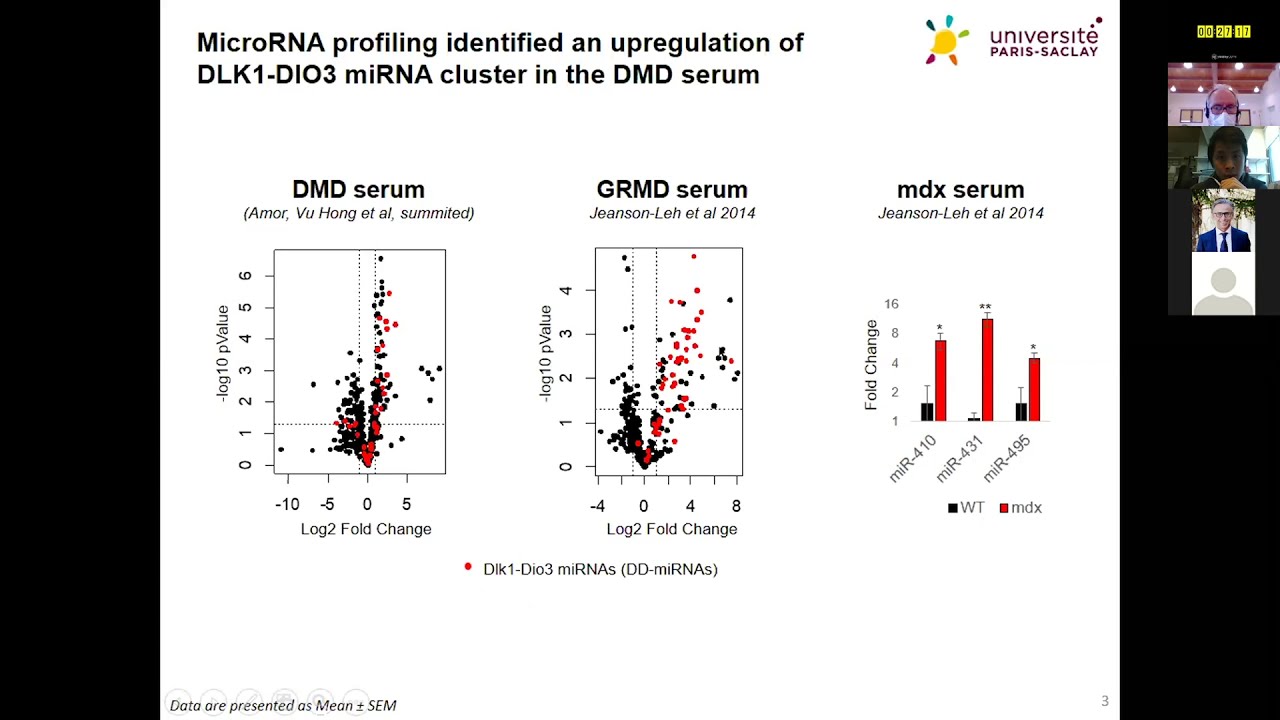 Ai Vu Hong -DLK-DIO3 cluster miRNAs regulate mitochondrial functions in the dystrophic muscle in DMD