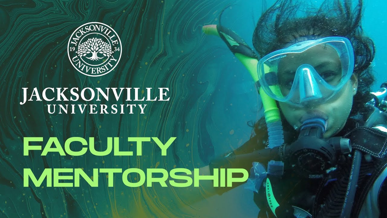 Faculty Mentorship