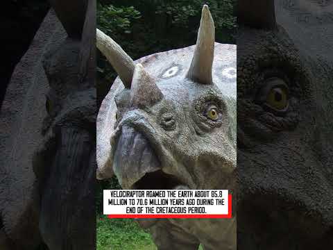 Which dinosaur's name means 'fast thief'? #shorts #dinosaur #dinosaurs
