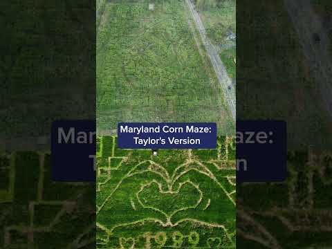 Maryland Corn Maze: Taylor's Version | NBC4 Washington