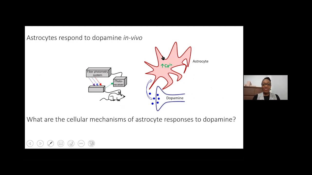 Astrocytes in mesolimbic dopamine signaling: a novel cellular target for psychiatric disorders