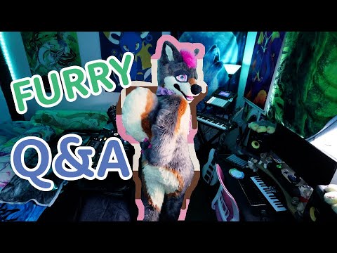 1.5K FURRY Q&A