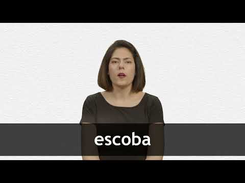 English Translation of “ESCOBA” | Collins Spanish-English Dictionary