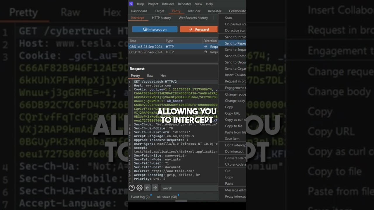 BURPSUITE in 10 Seconds! #portswigger #burpsuite #webapp