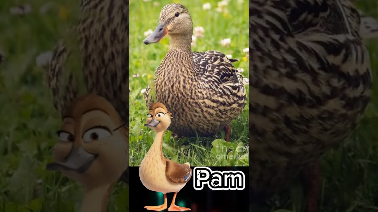 Migration Characters In Real Life 🤩 #migration #characters #shorts