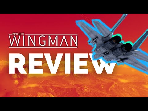 Steam Community :: Video :: Project Wingman Review | 2022