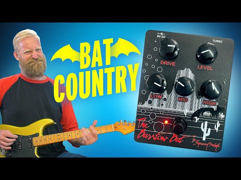 STOP HERE! IT’S BAT COUNTRY! – Exploring the natural wonders of the ...
